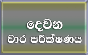 Grade 9 Maths Past term test papers in Sinhala, English and Tamil medium
