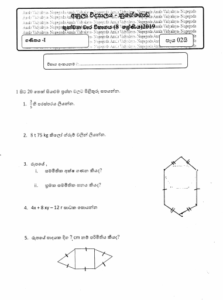 2019 Grade 08 Mathematics Third Term Test Paper | Anula Collage