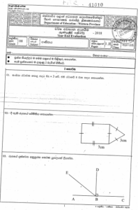 2018 Grade 08 Mathematics Third Term Test Paper | Western Province