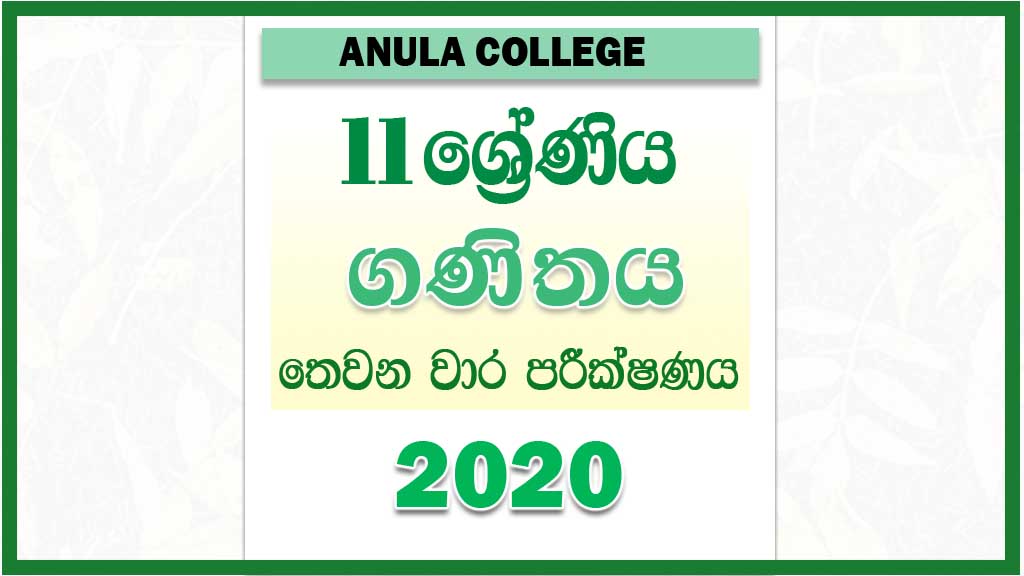 2020 Grade 11 Mathematics Third Term Test Paper | Anula Collage