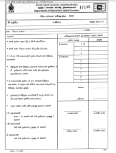 2019 Grade 09 Mathematics Third Term Test Paper with Answers | Central ...