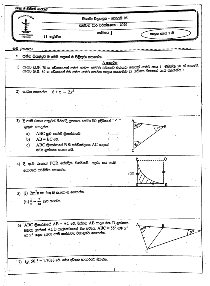 2020 Grade 11 Mathematics Third Term Test Paper | Vishaka Collage