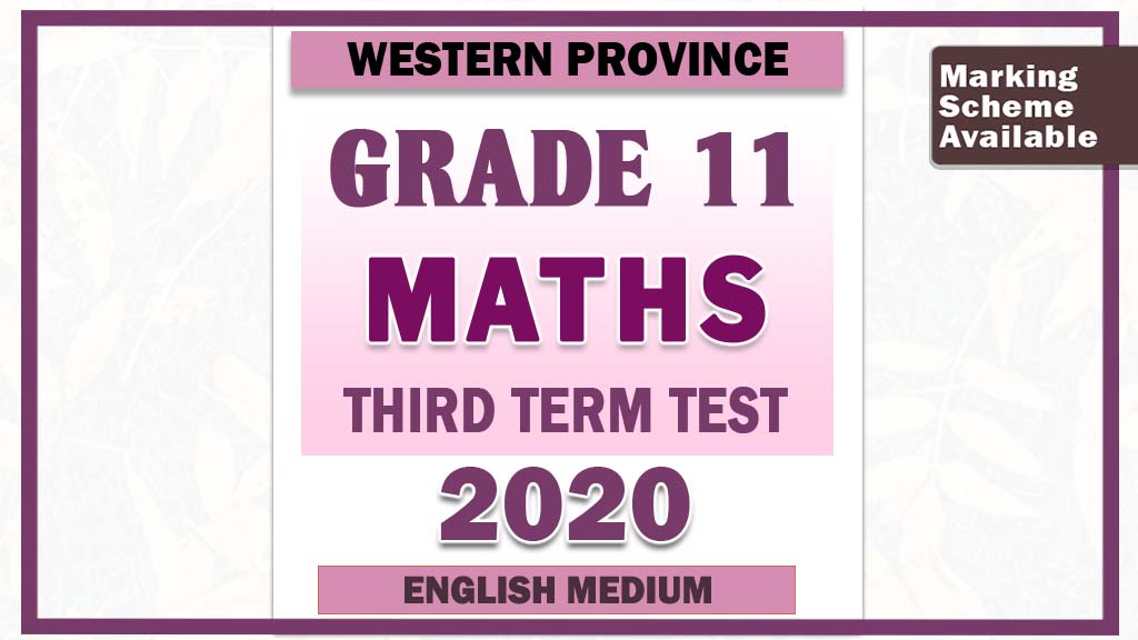 2020 Grade 11 Maths Third Term Paper With Answers | English Medium ...