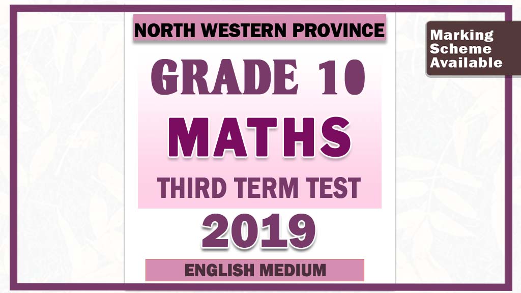 2019 Grade 10 Maths Third Term Paper With Answers | English Medium ...